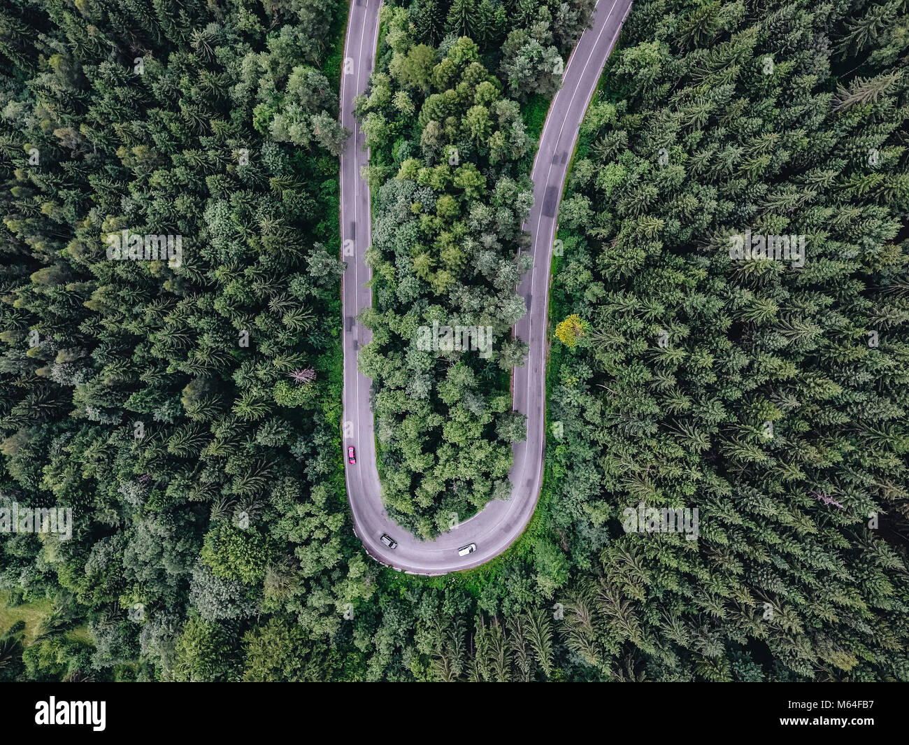 Forest road from above Stock Photo - Alamy