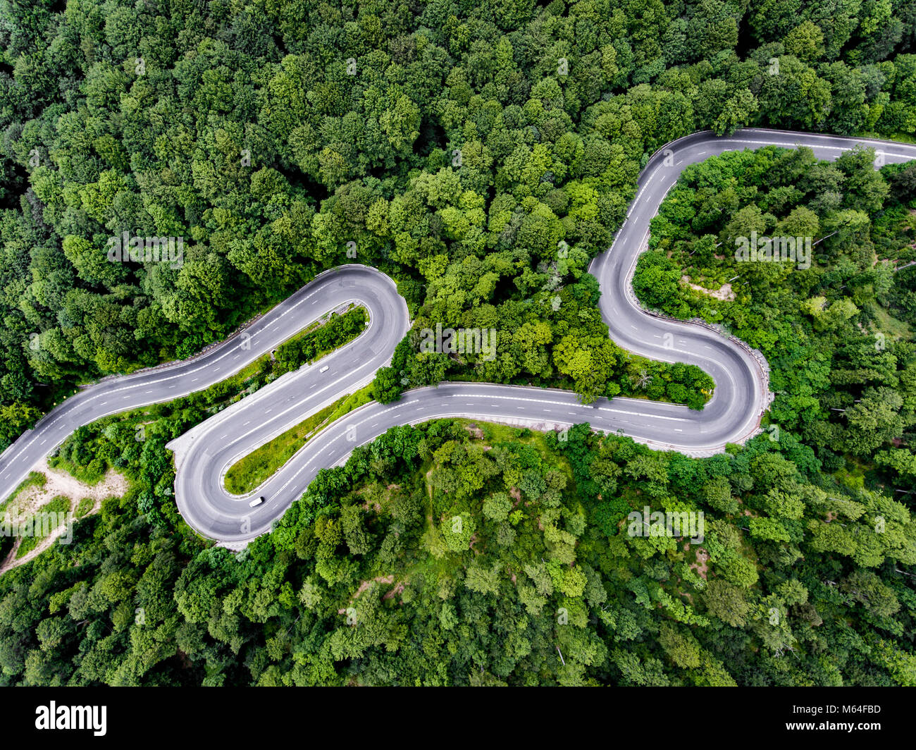 Winding road trough the forest Stock Photo - Alamy