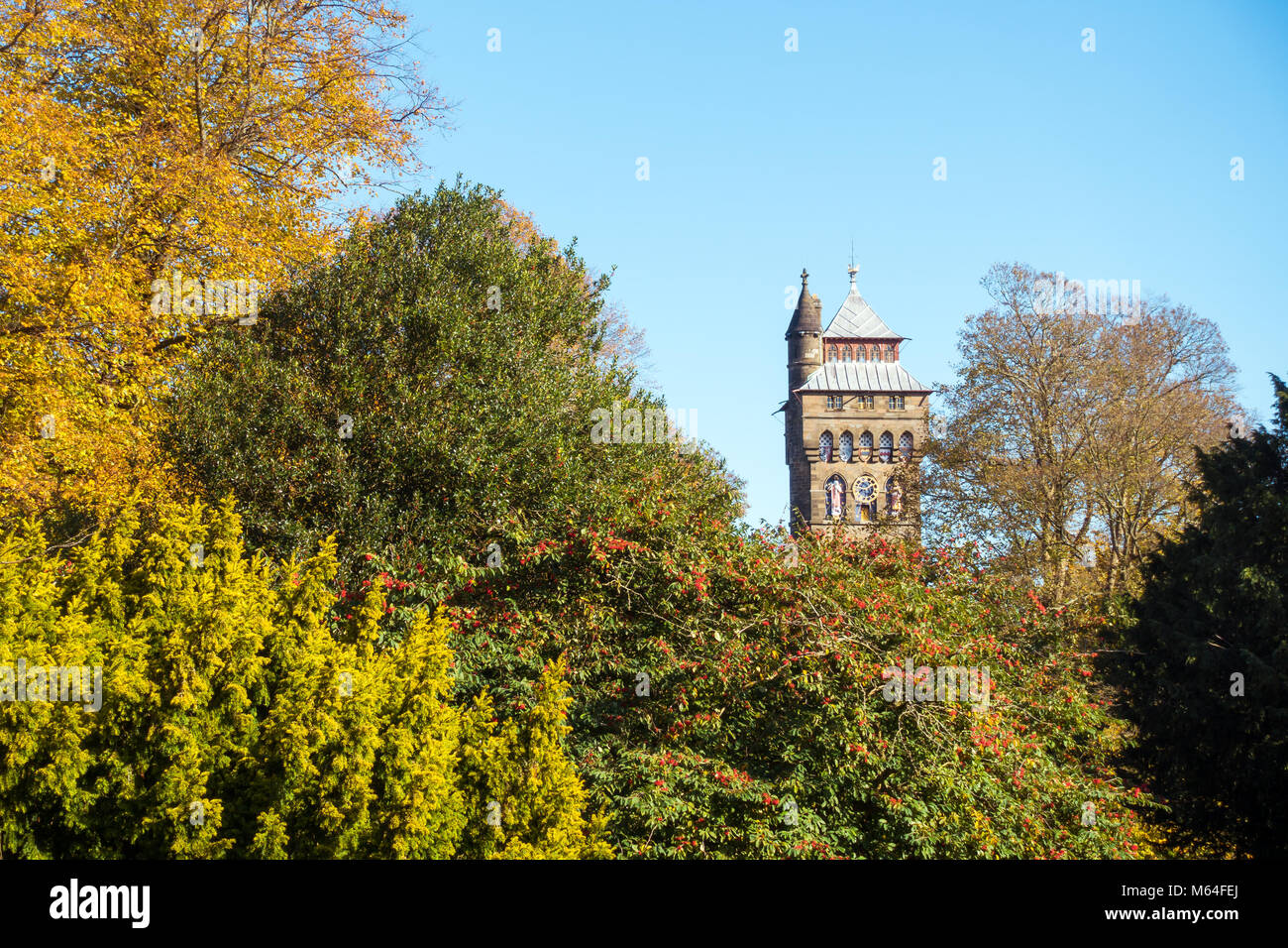 Cardiff forest hi-res stock photography and images - Alamy