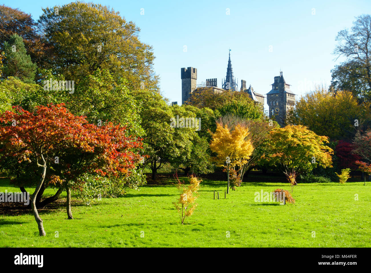 Bute Park with sunlit trees in vibrant autumn colours and Cardiff ...