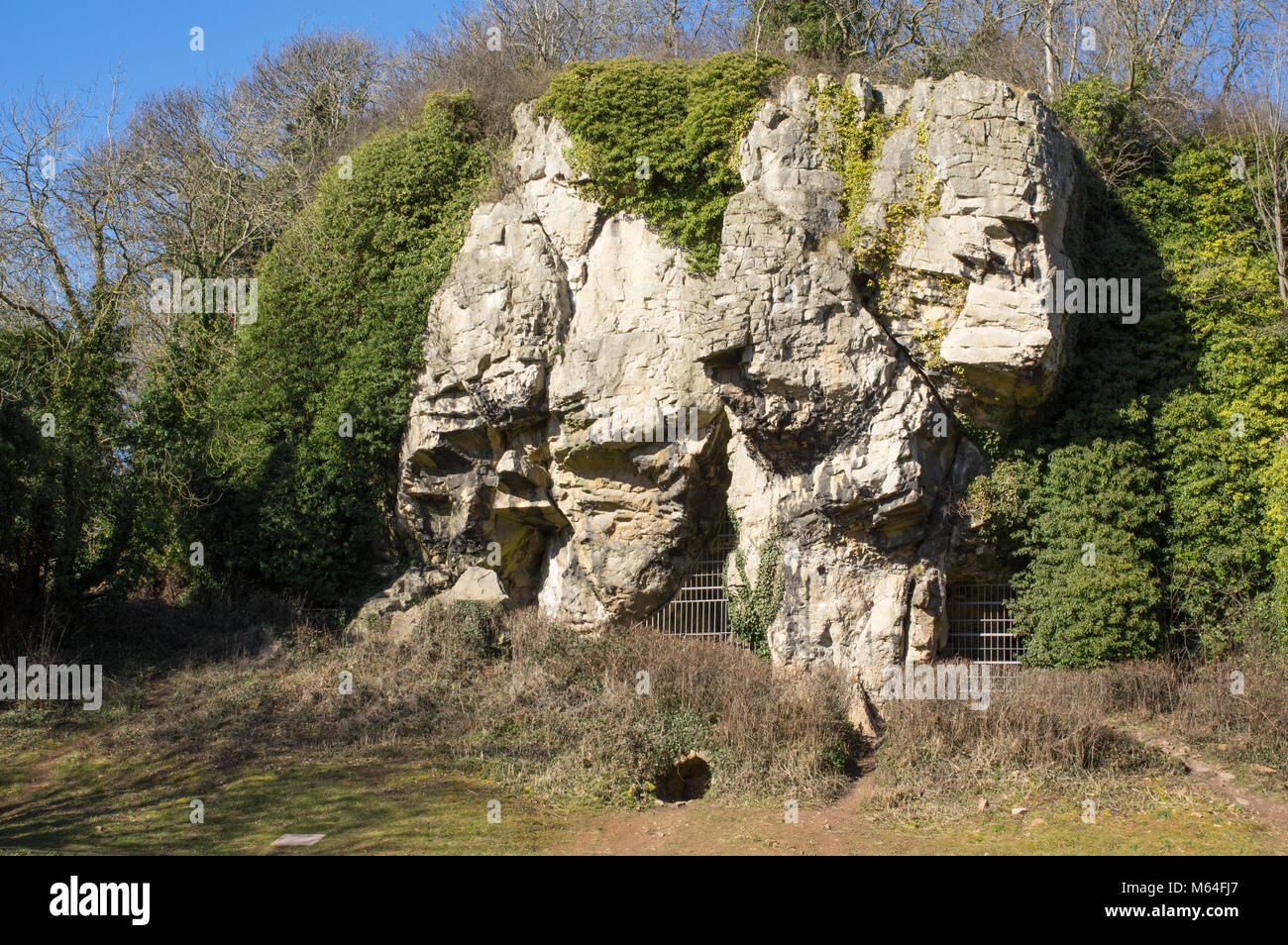 Creswell crags hi-res stock photography and images - Alamy