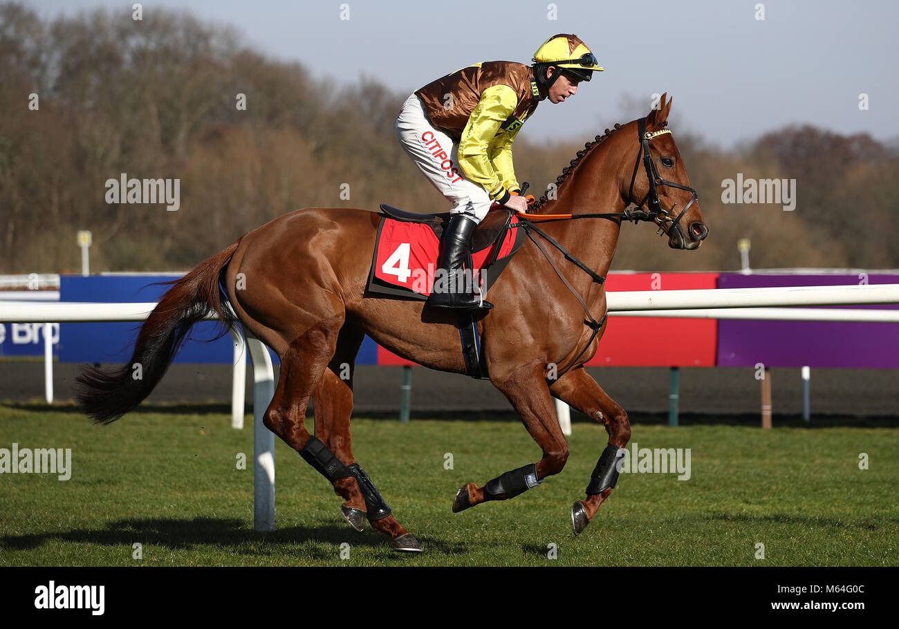 The Mighty Don ridden by jockey Leighton Aspell going to post before ...
