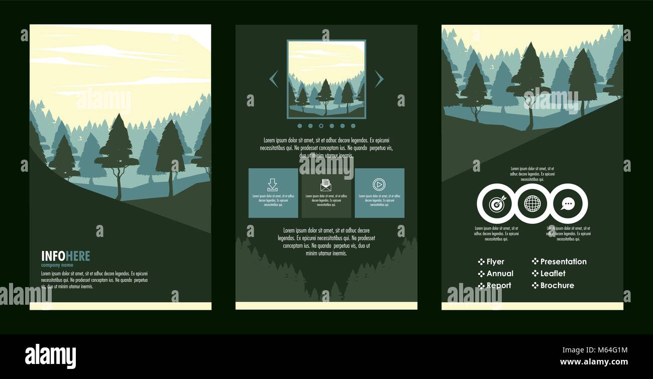 Forest brochure infographic Stock Vector Image & Art - Alamy