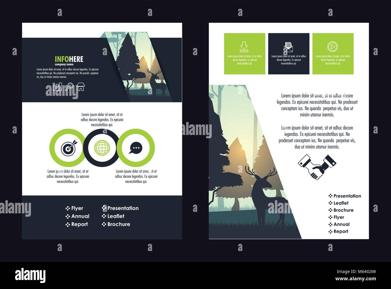 Forest brochure infographic Stock Vector Image & Art - Alamy