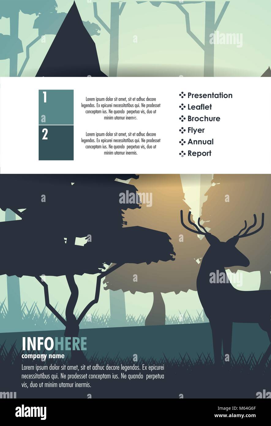 Forest brochure infographic Stock Vector Image & Art - Alamy
