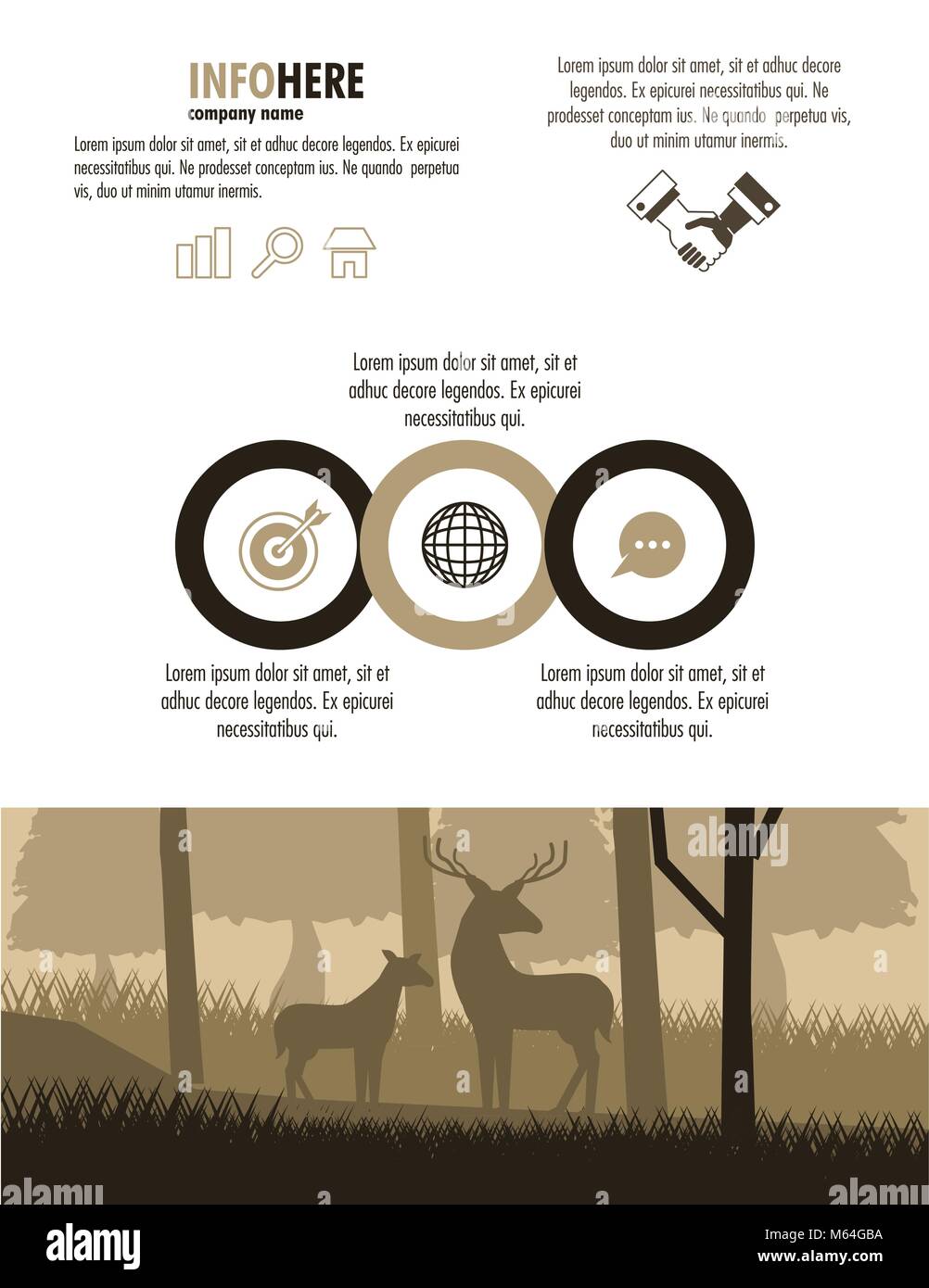Forest brochure infographic Stock Vector Image & Art - Alamy