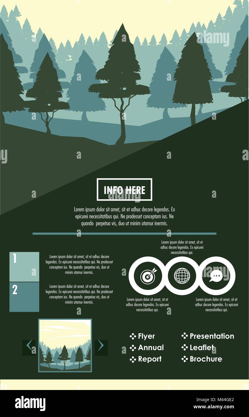 Forest brochure infographic Stock Vector Image & Art - Alamy