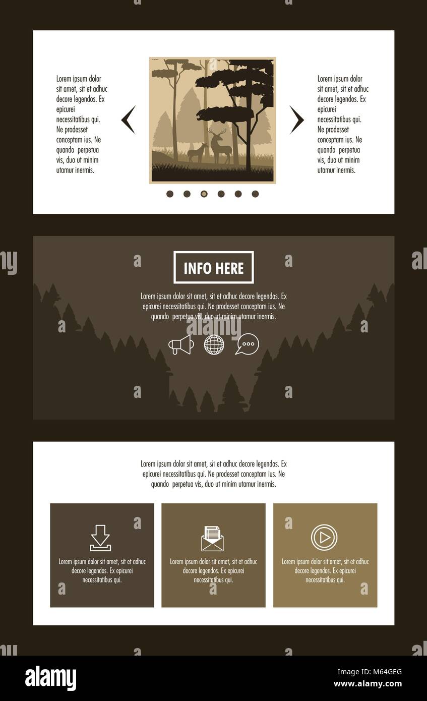 Forest brochure infographic Stock Vector Image & Art - Alamy
