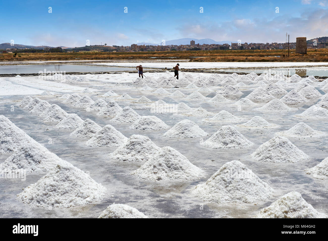 Pictures & images of Men collecting and digging salt in a salt pan on ...