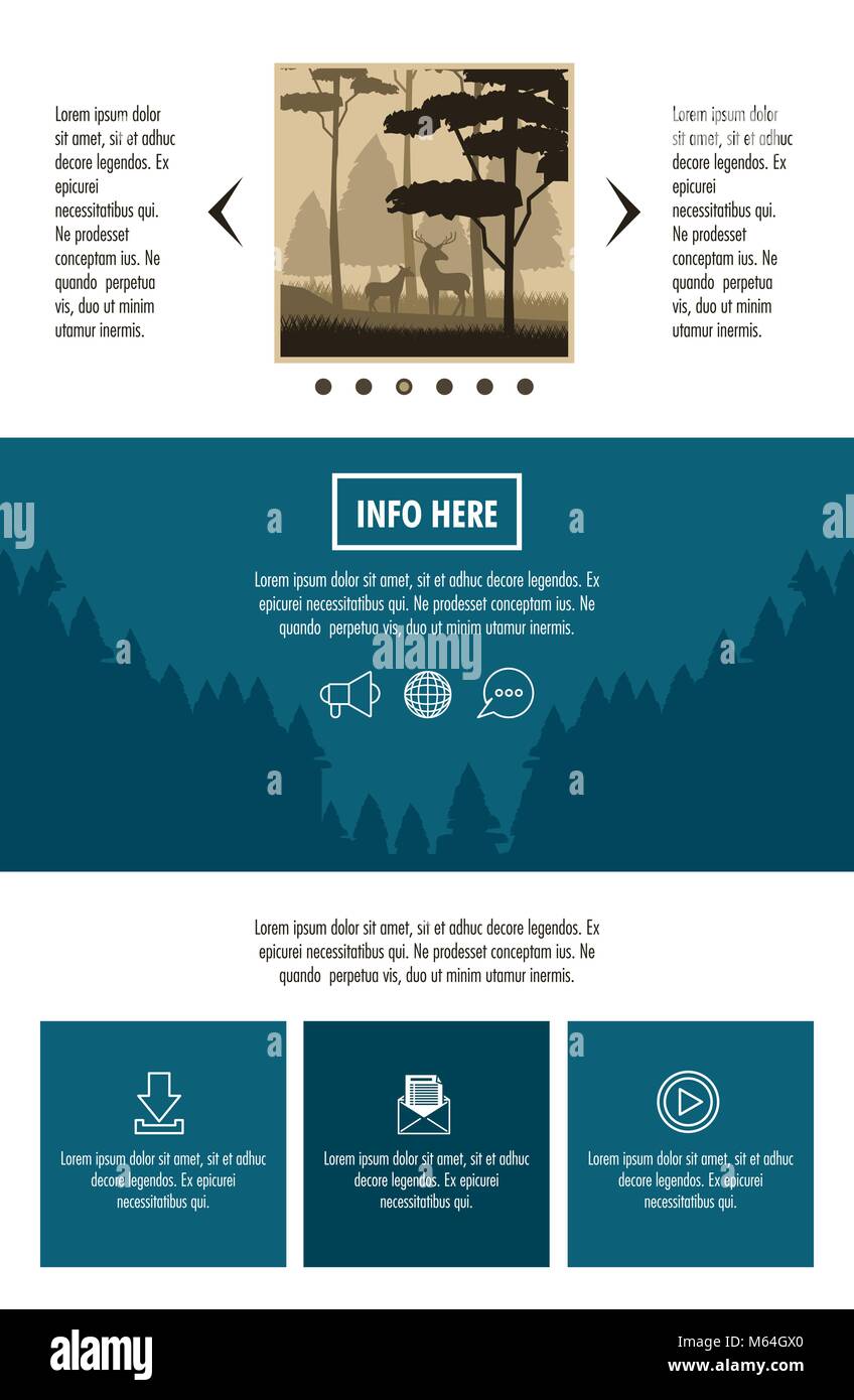 Forest brochure infographic Stock Vector Image & Art - Alamy