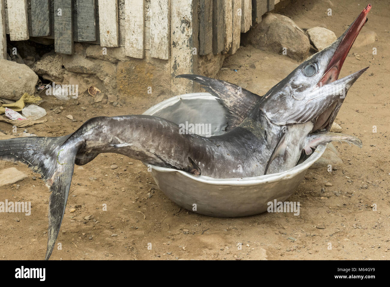 freshly caught fish in ghana Stock Photo - Alamy