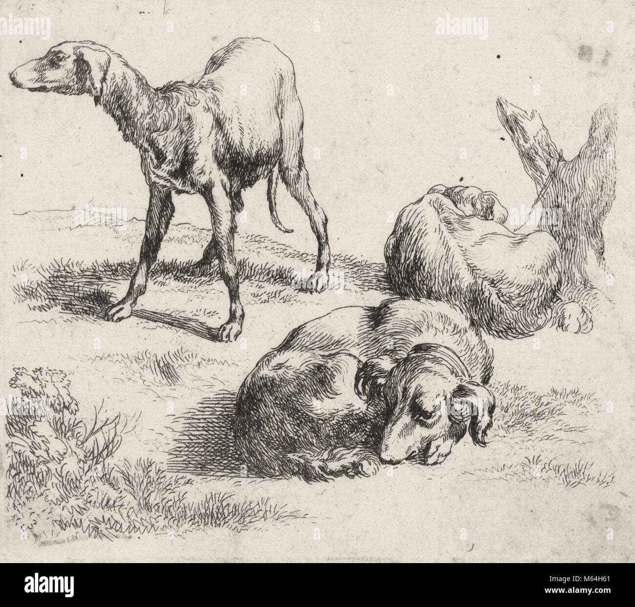 Berchem - three hunting dogs Stock Photo - Alamy