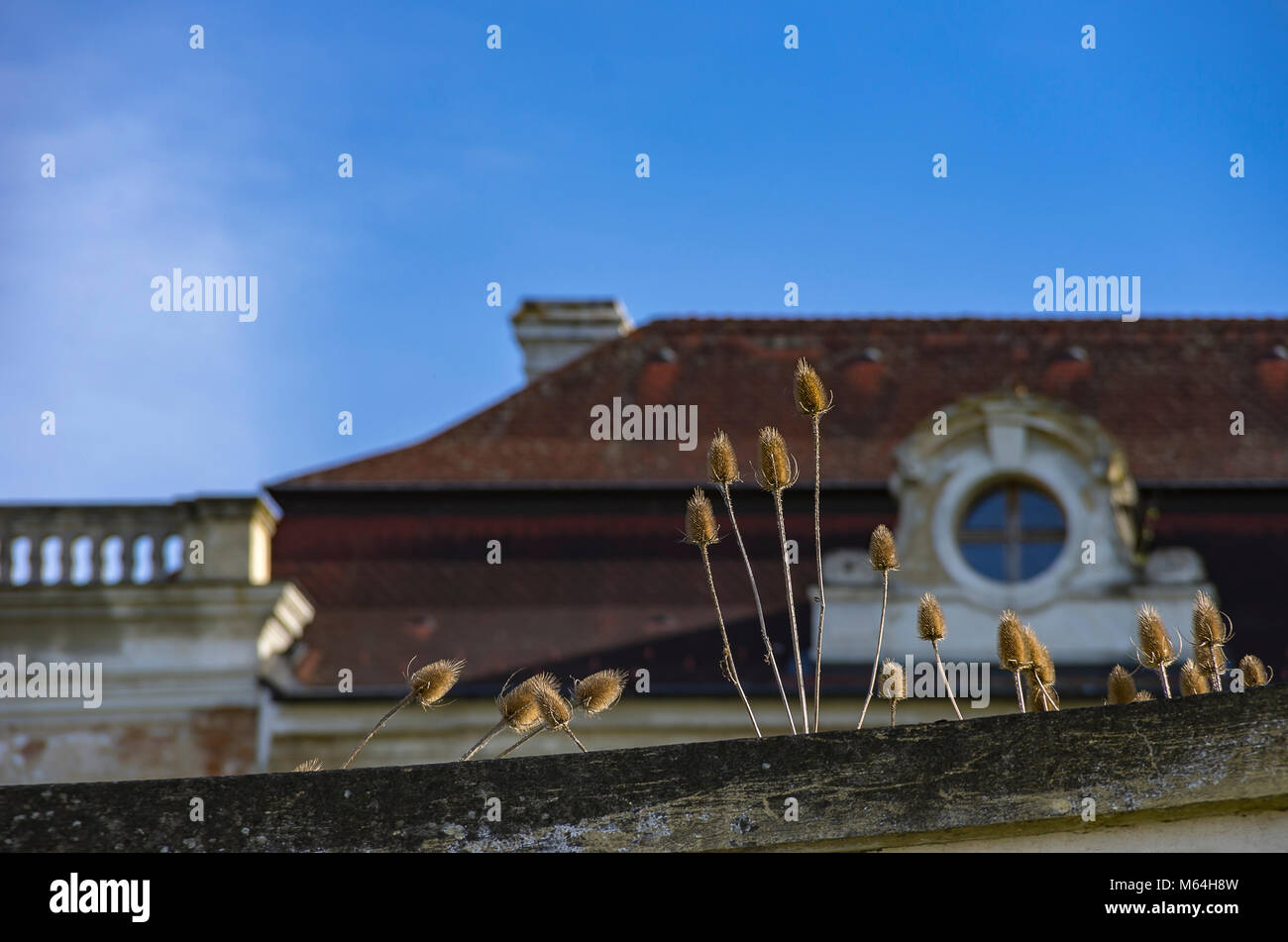 Ox eye window hi-res stock photography and images - Alamy