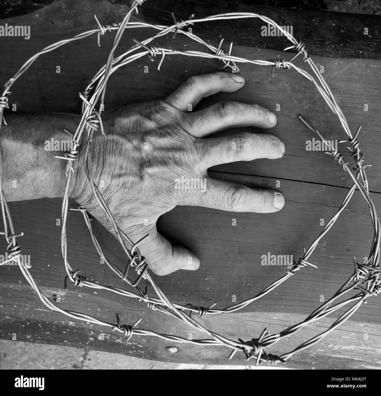 Barbed wire around the hand. Freedom concept Stock Photo - Alamy