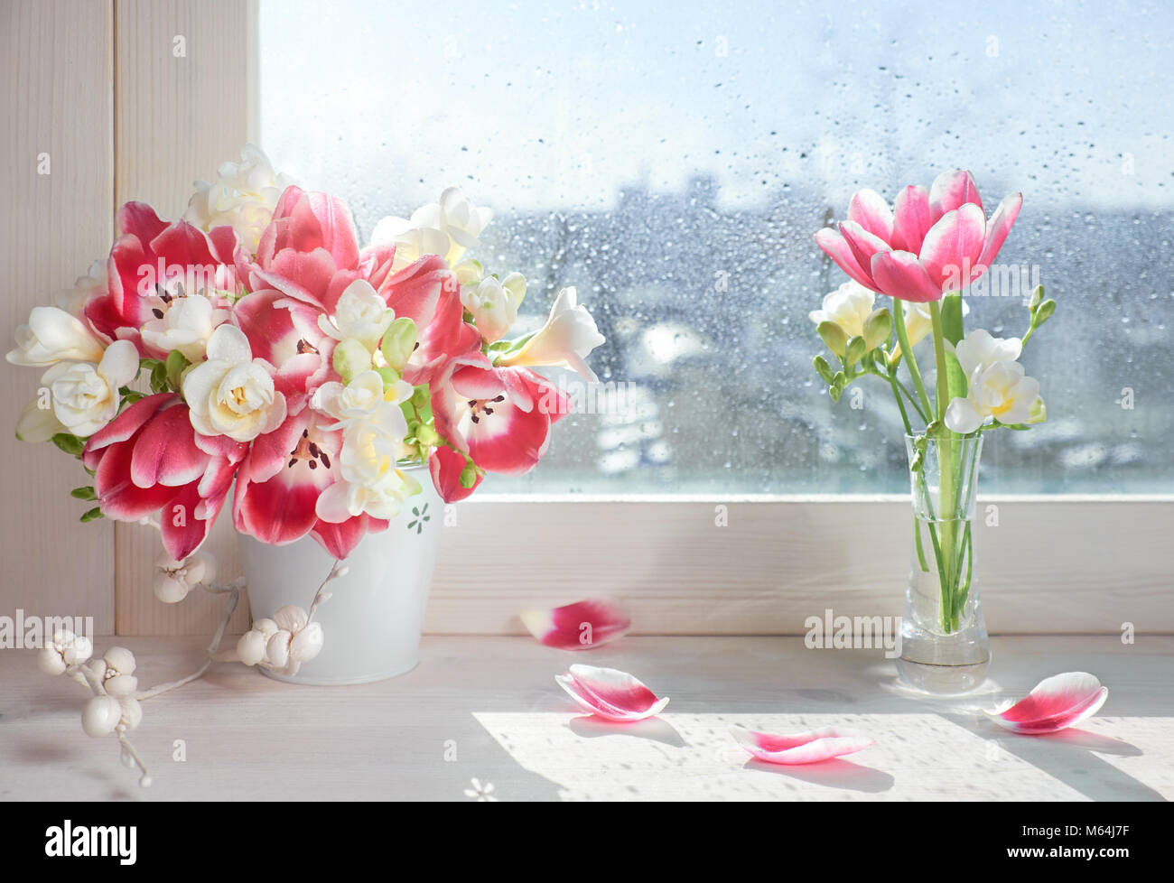Pink tulips and white freesia flowers on the window board, sunshine ...