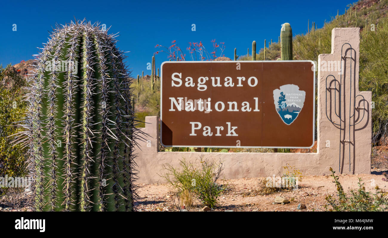 Saguaro national park sign hi-res stock photography and images - Alamy