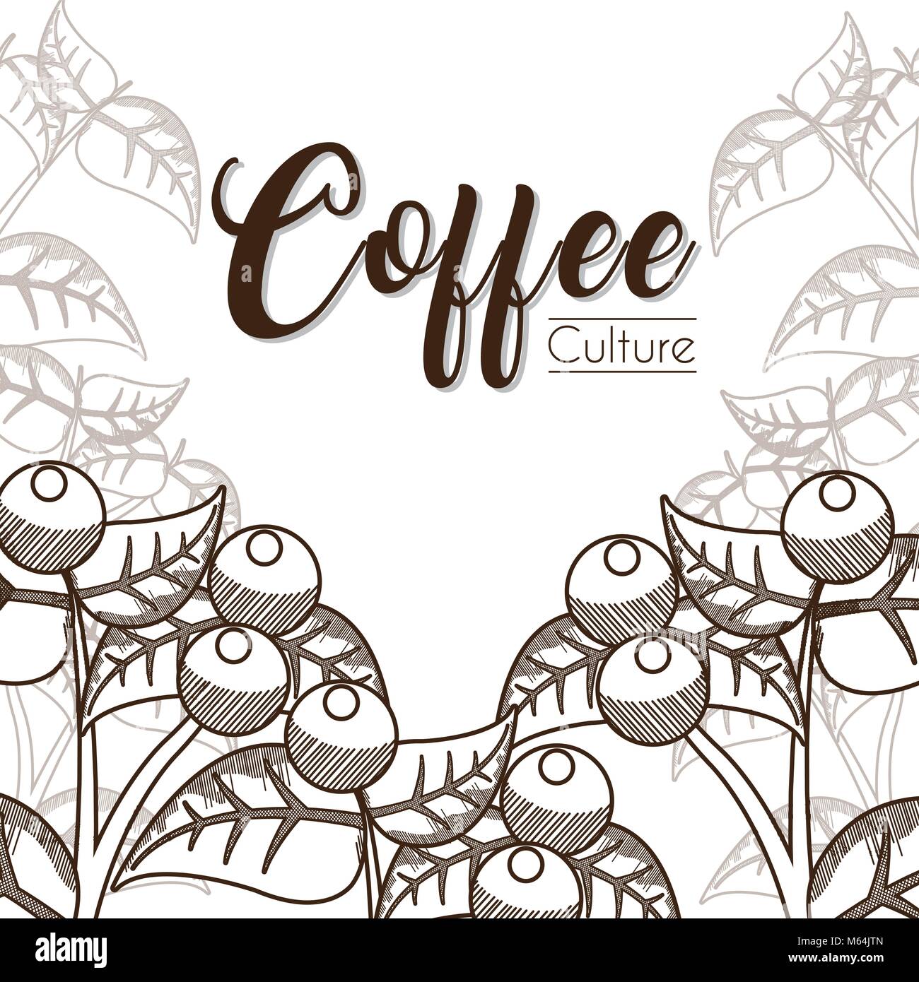 Coffee culture beans Stock Vector Image & Art - Alamy