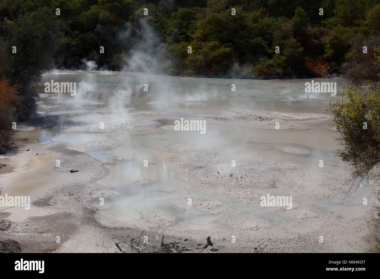 Wai-O-Tapu Mud Pool Stock Photo - Alamy