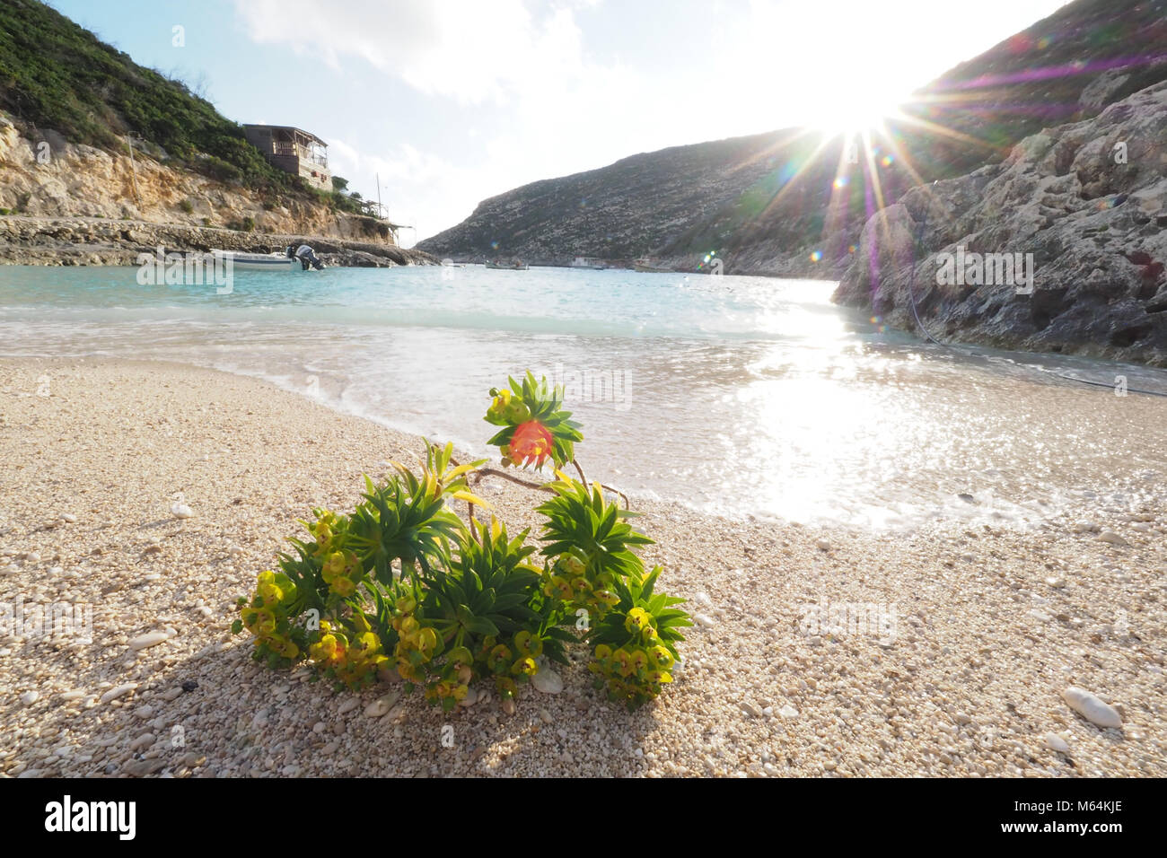 Porto Vromi beach Zakynthos island, Greece at sunset Stock Photo - Alamy