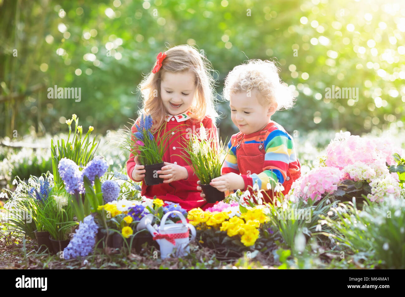 Children planting spring flowers in sunny garden. Little boy and girl ...
