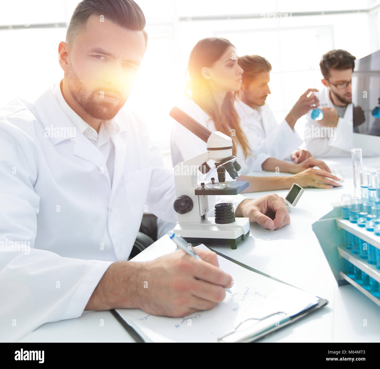 serious scientists working in the laboratory Stock Photo - Alamy