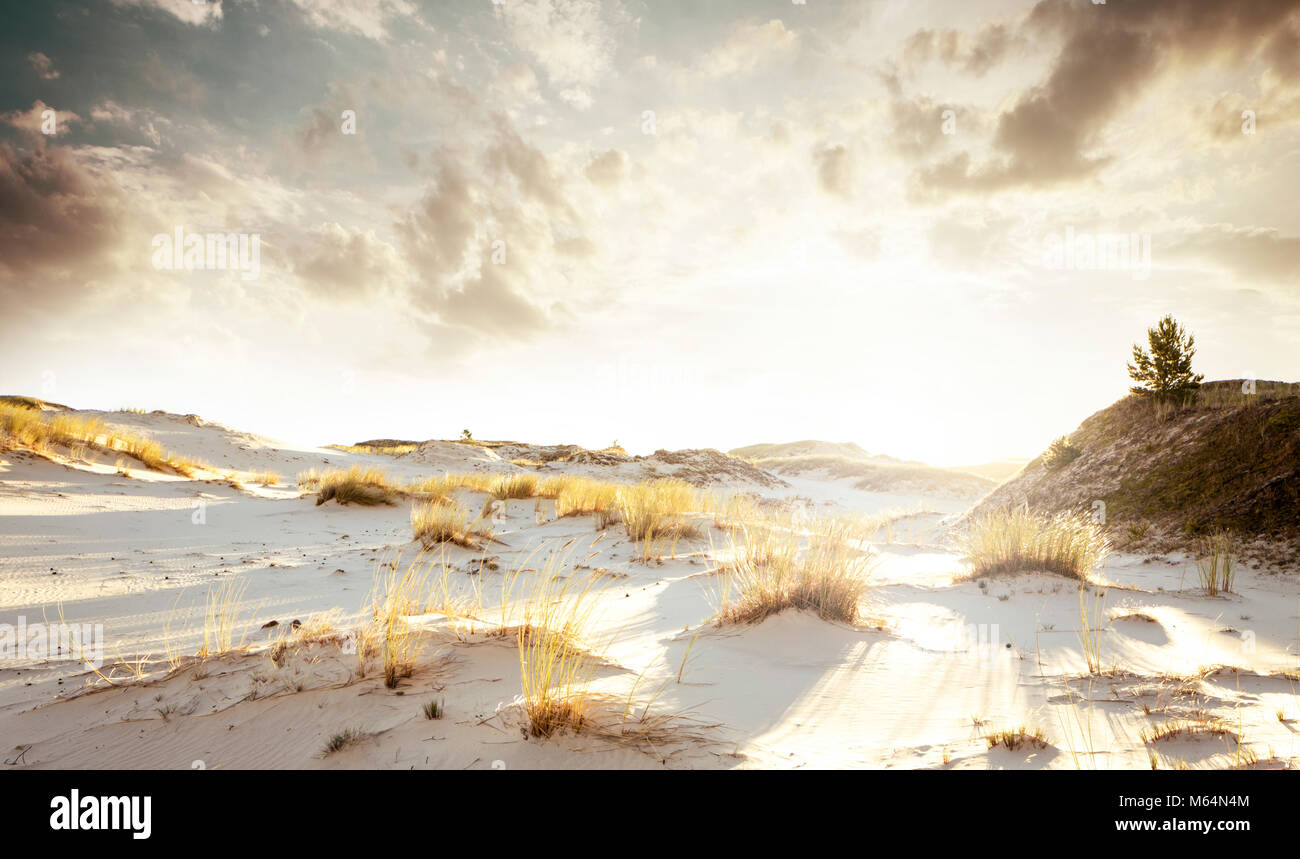 Slowinski national park hi-res stock photography and images - Alamy