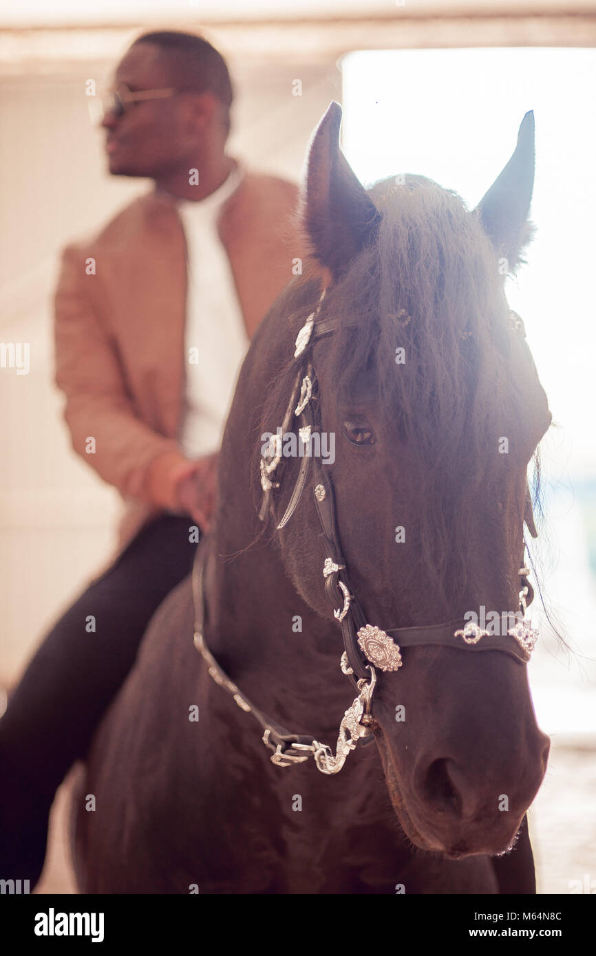 man riding brown horse on countryside Stock Photo - Alamy
