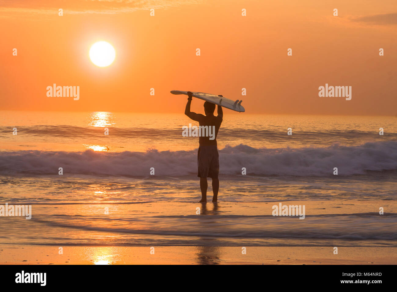 surfer with longboard standing on beach at sunset watching waves Stock ...