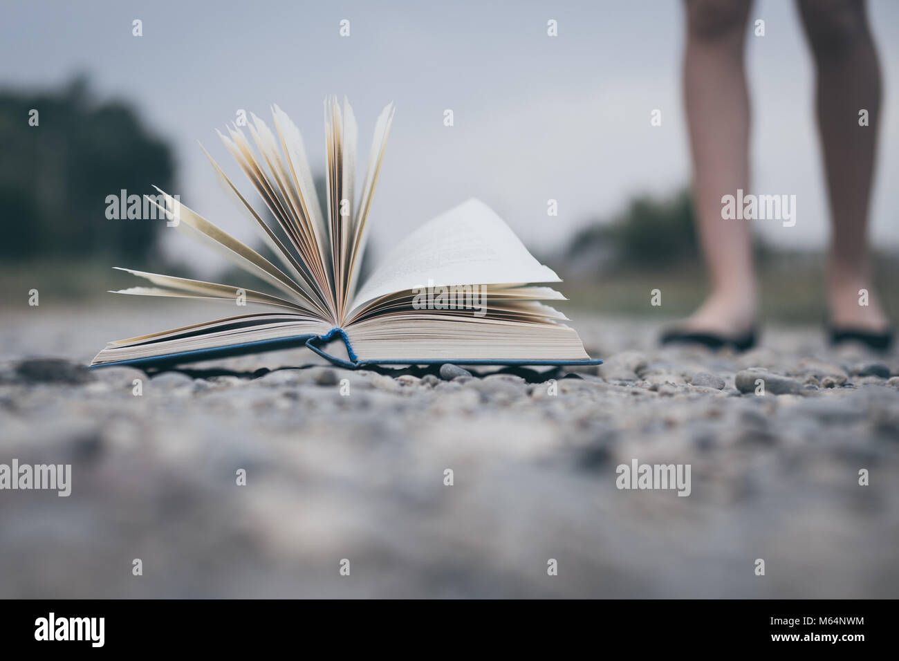 open book lying on the road. Concept of choice Stock Photo - Alamy