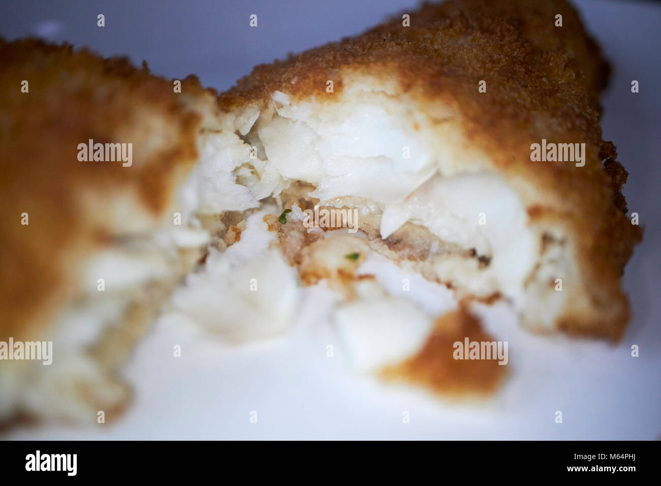 Cross section fish hi-res stock photography and images - Alamy