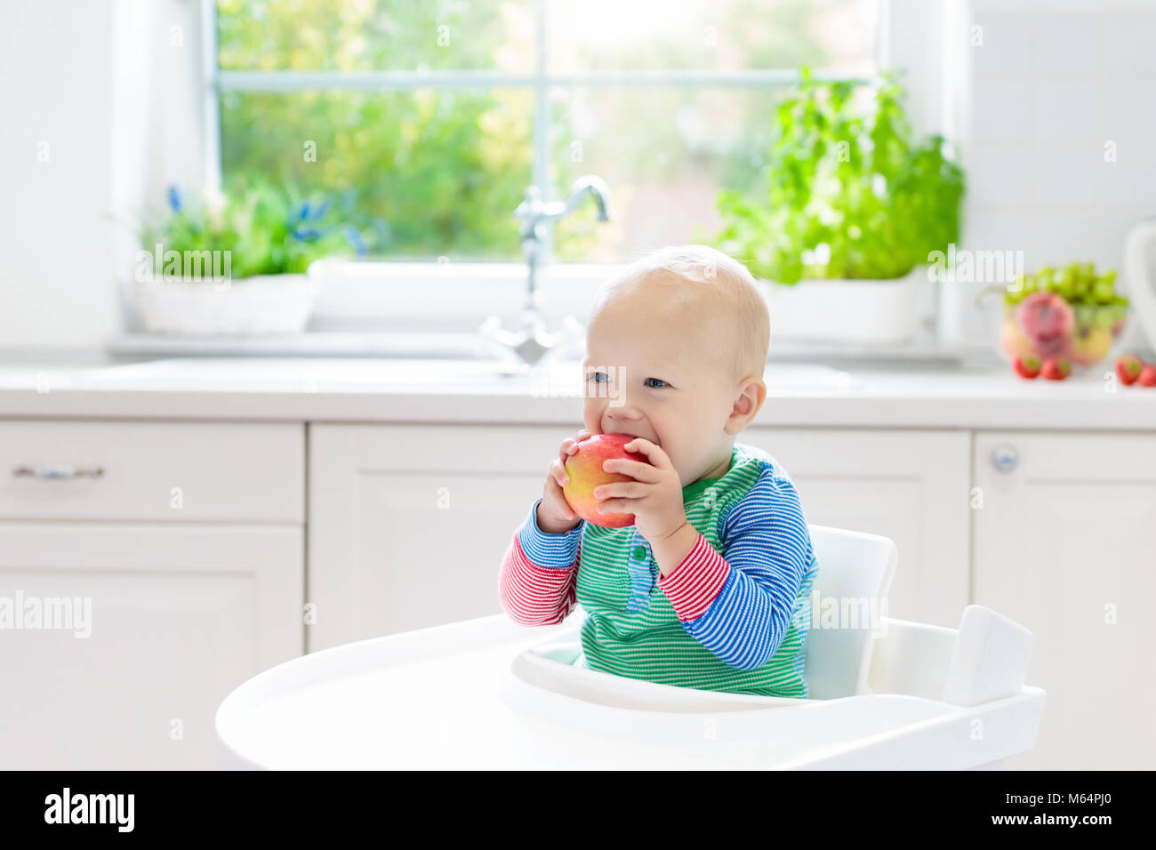 Baby eating fruit. Little boy biting apple sitting in white high chair ...