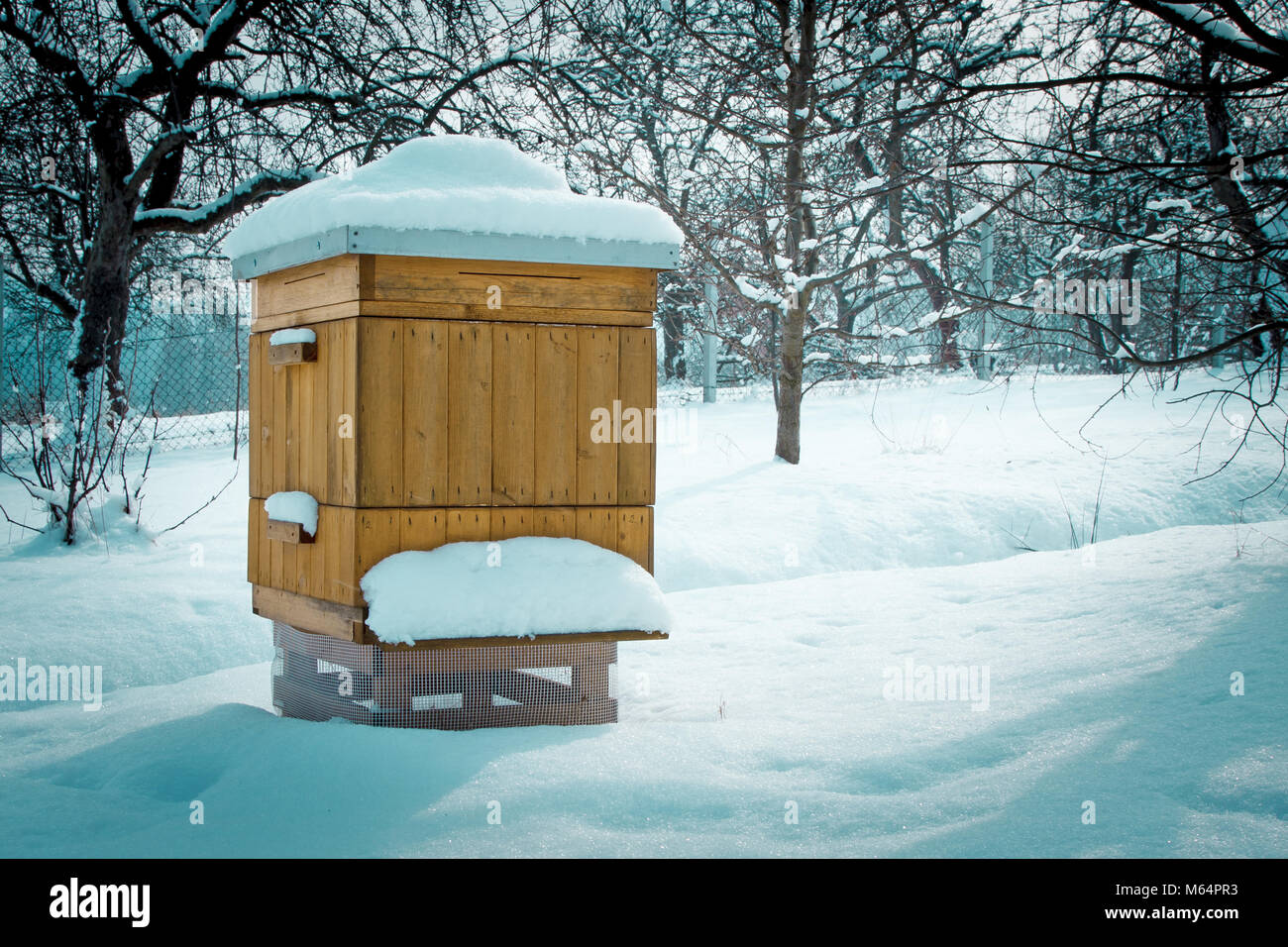 Beehive in winter. Toned photo Stock Photo - Alamy