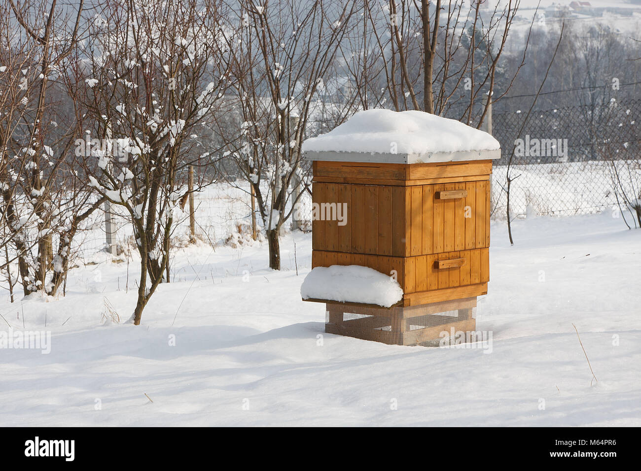 Beehive in winter Stock Photo - Alamy