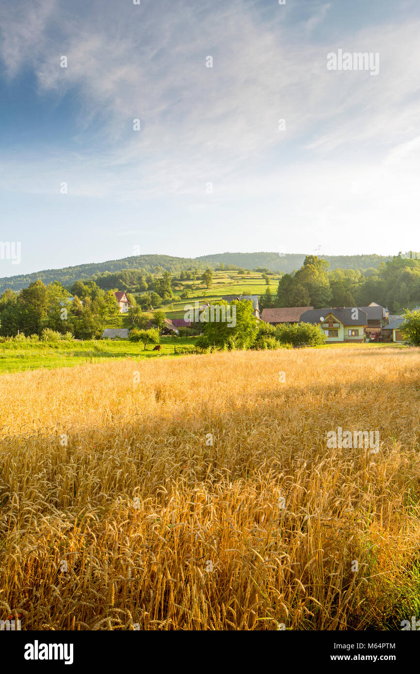 Polish countryside hi-res stock photography and images - Alamy