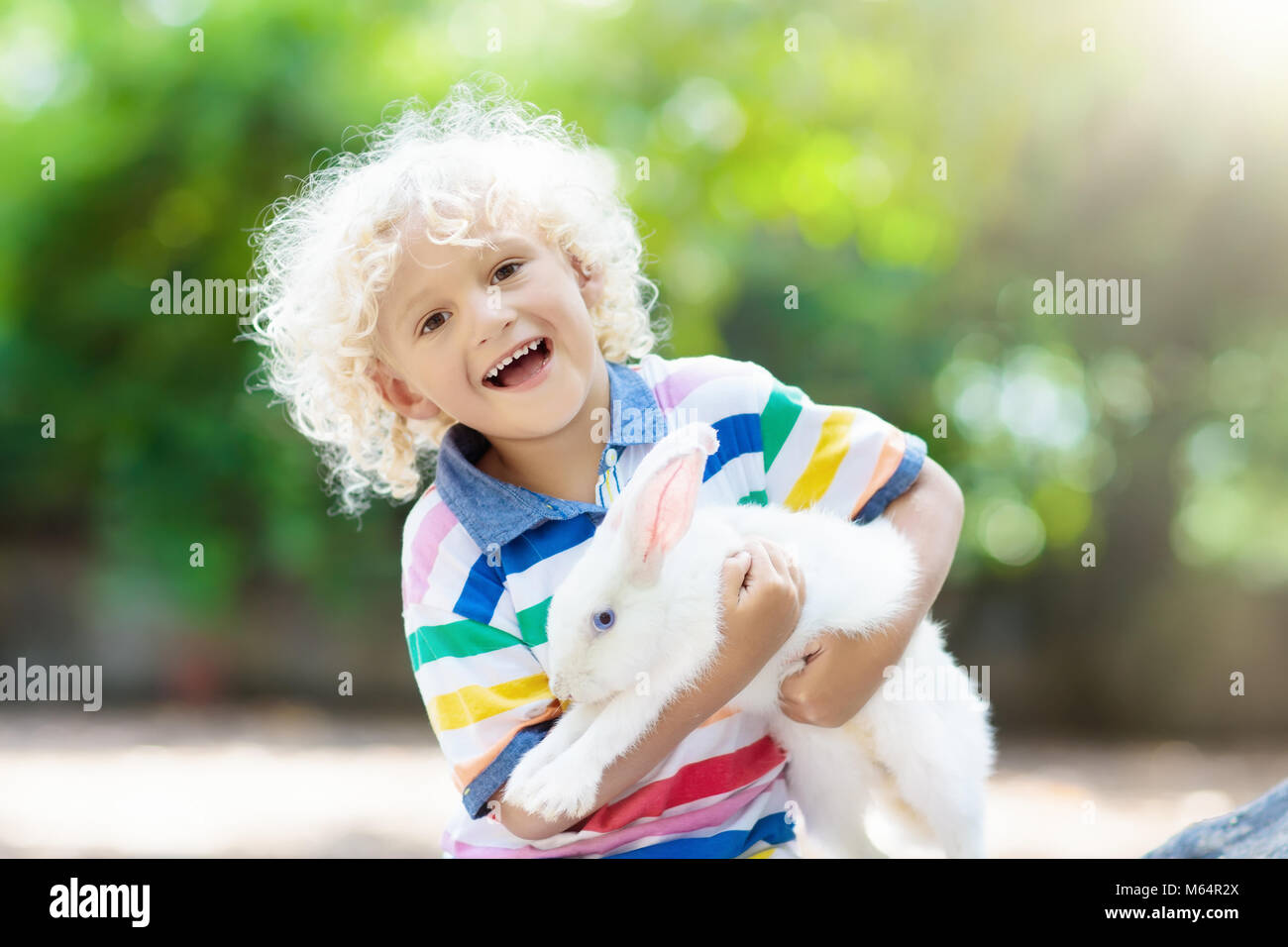 Child playing with white rabbit. Little boy feeding and petting white ...