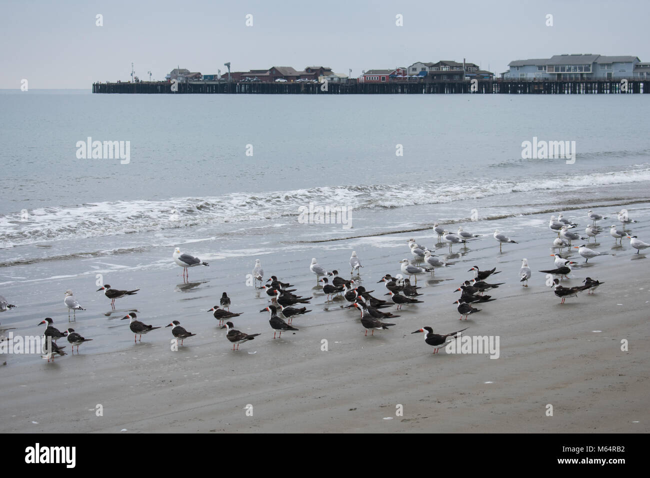 Beach Pier 4 Stock Photo - Alamy