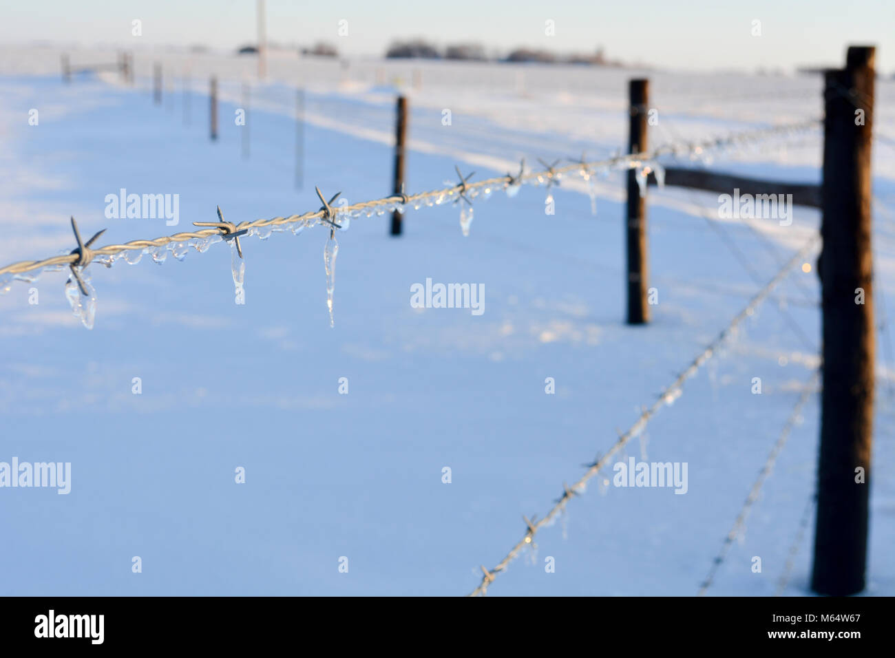 Iced Barbed Wire in Rural Iowa during Winter Stock Photo - Alamy