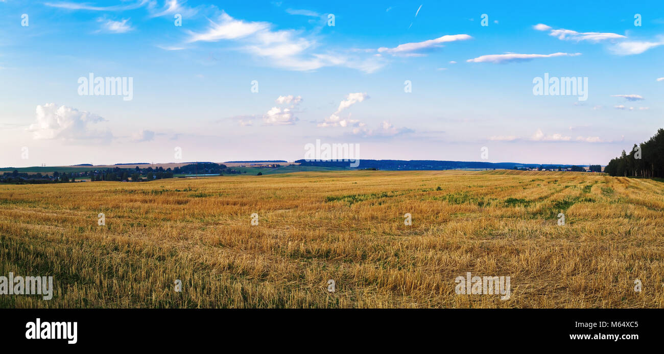 Autumn field of cut grass after harvest. Rural landscape. Panorama shot ...