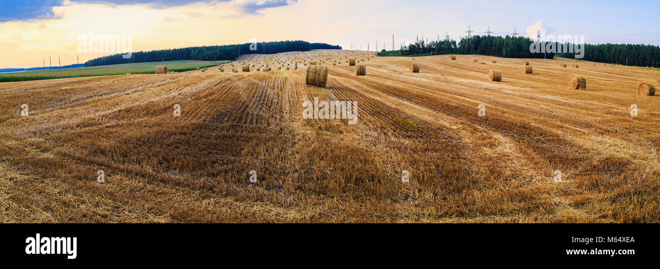 Autumn field with hay bales after harvest. Rural landscape with ...