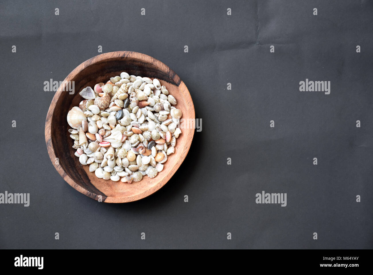 Collected mini shells from a beach in Vietnam displayed in a small hand ...