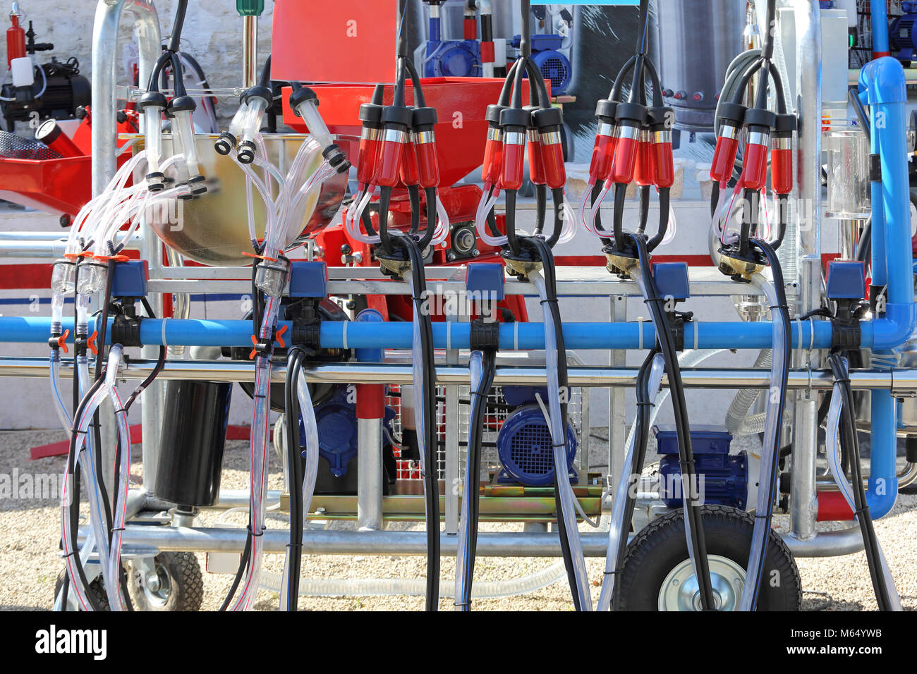 Milking station hi-res stock photography and images - Alamy