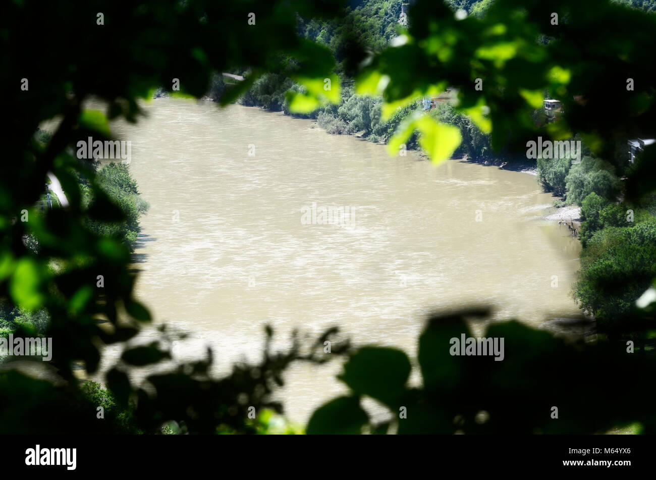 View on a mountain river trough trees Stock Photo - Alamy