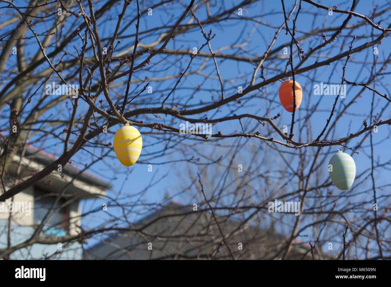 Easter egg trees hi-res stock photography and images - Alamy