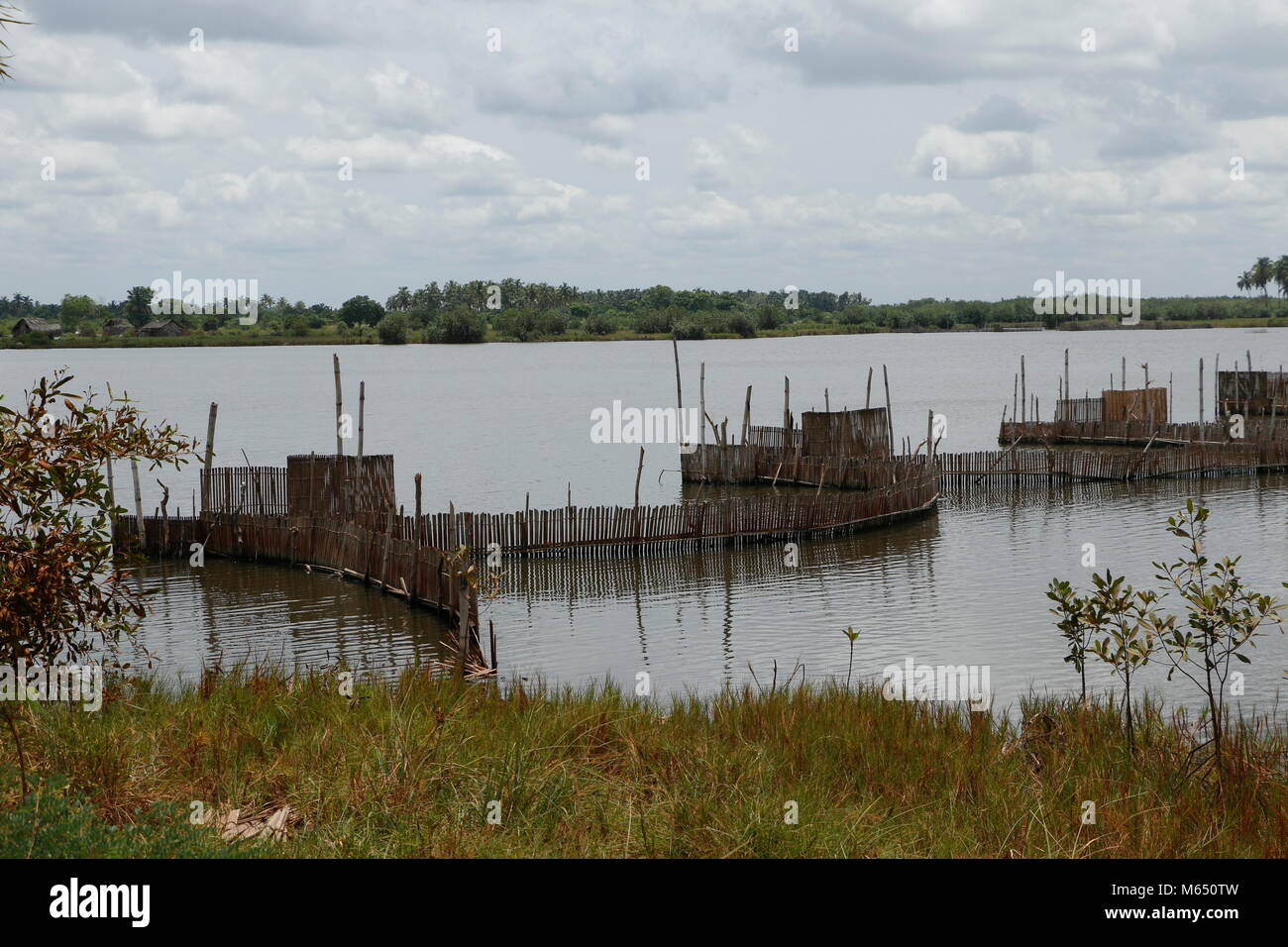 Fish breeding place in Benin Africa Stock Photo - Alamy