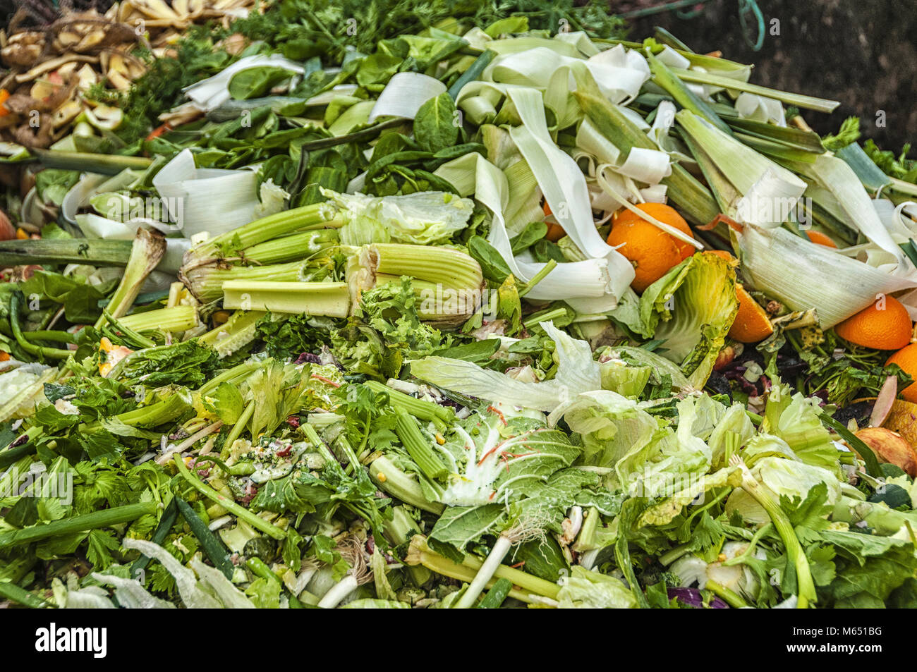 Food waste landfill hi-res stock photography and images - Alamy