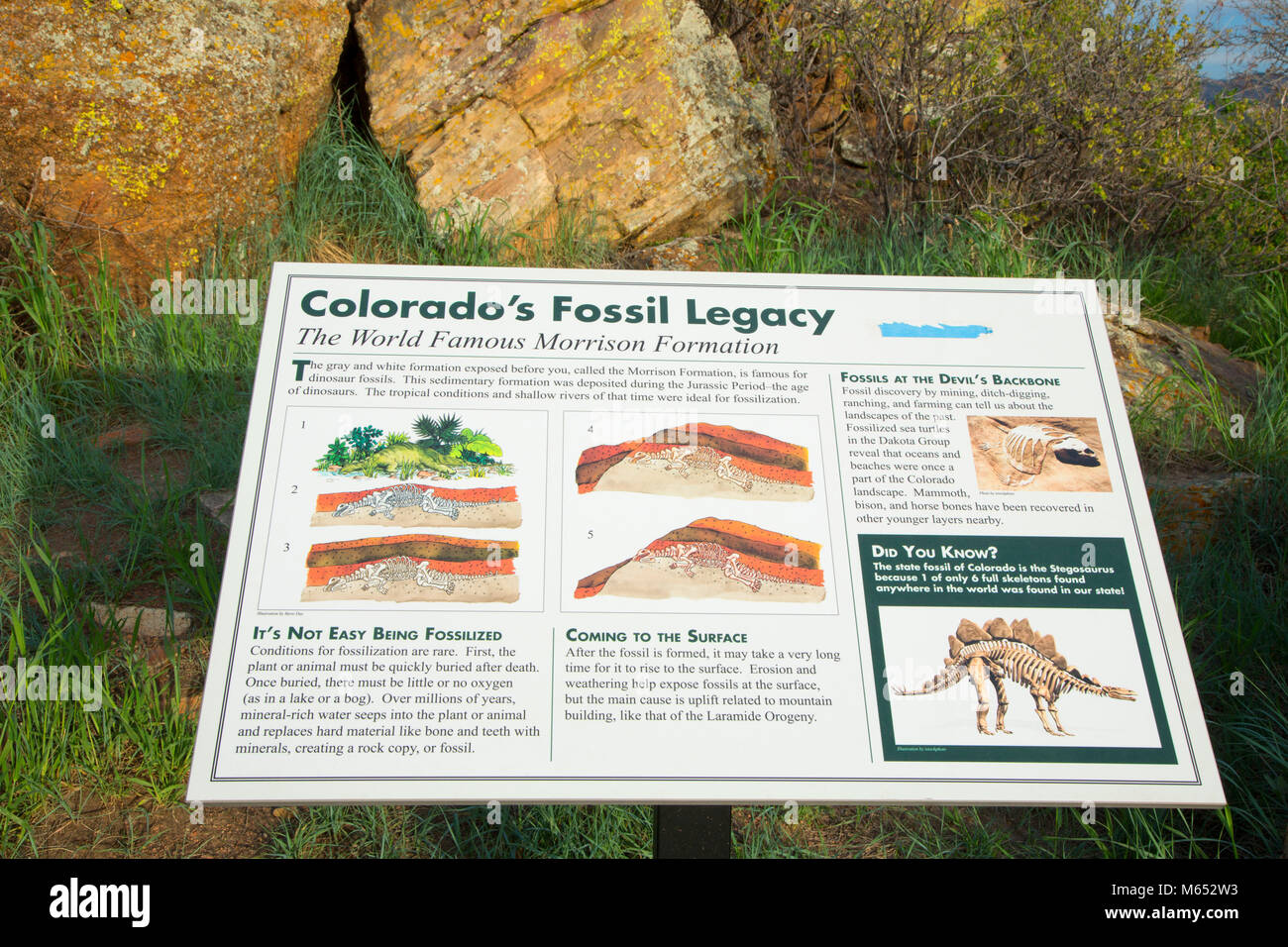 Interpretive board along Morrison Loop Trail, Devil's Backbone Open ...