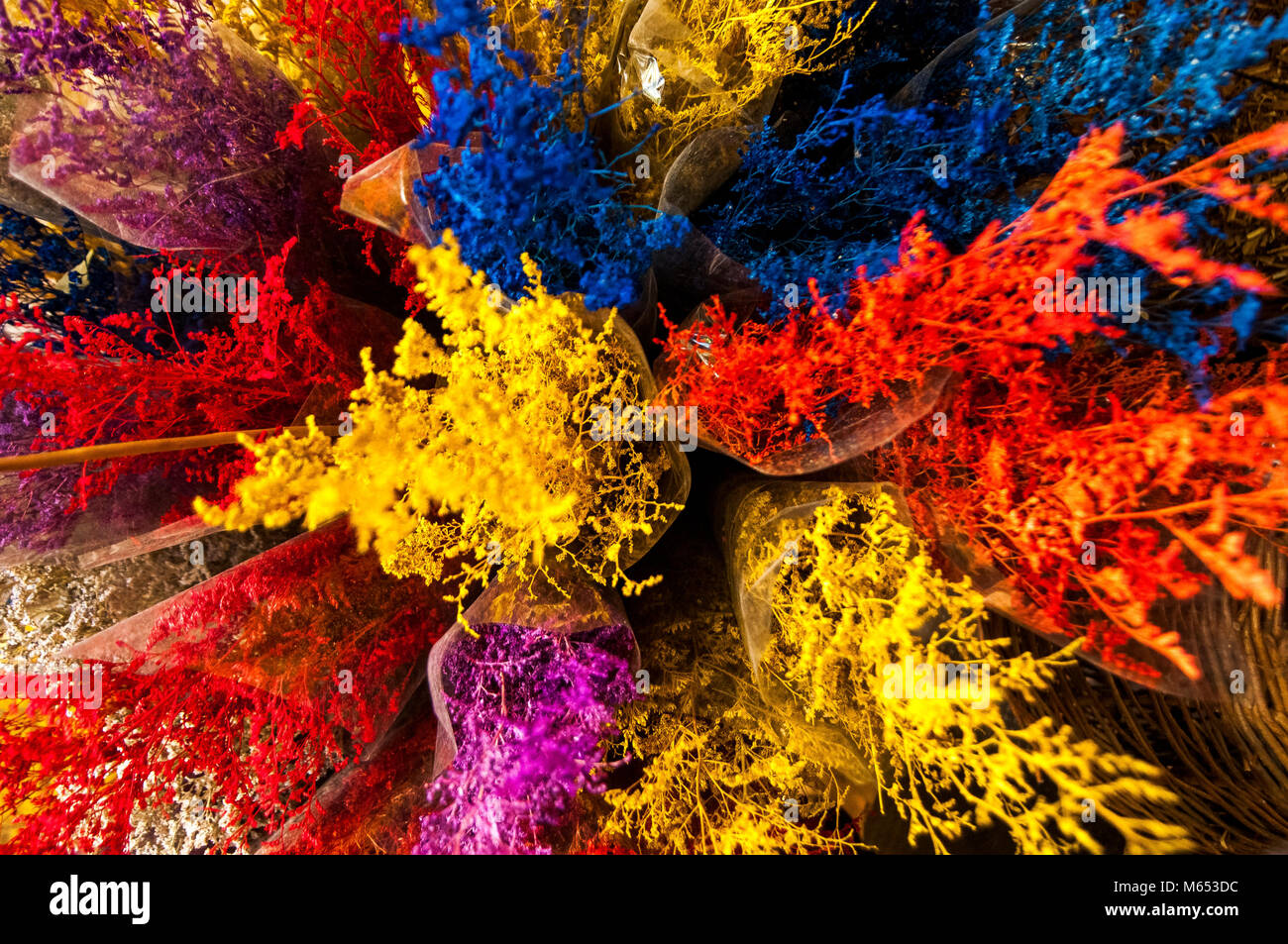 Painted plants, wallpaper, background, colorful Stock Photo - Alamy