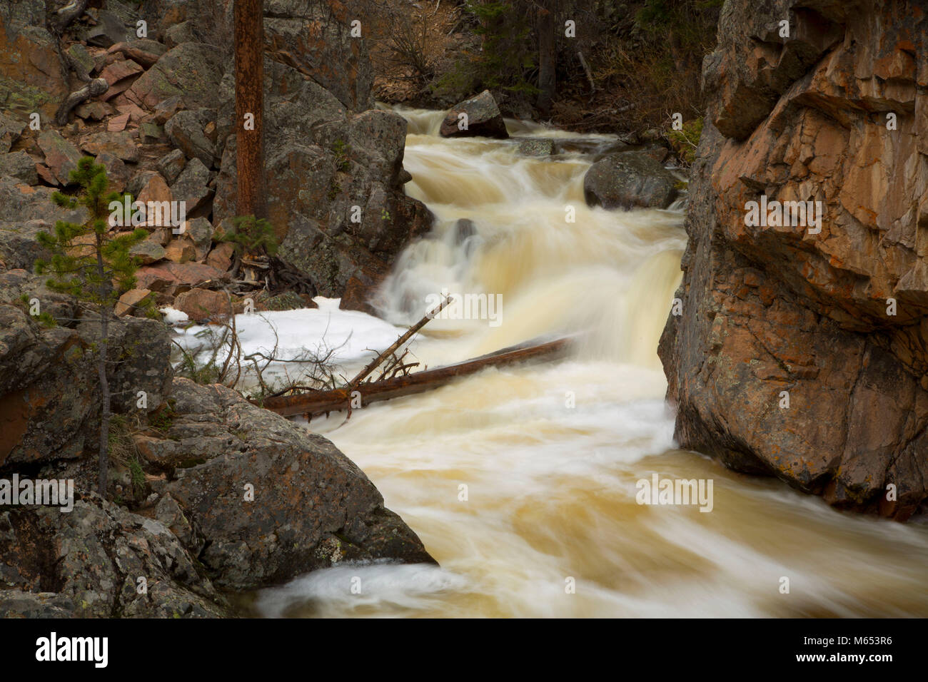 Big Thompson River along Fern Lake Trail, Rocky Mountain National Park ...