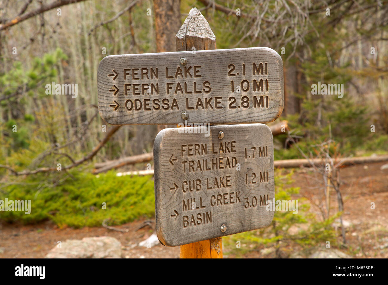 Trail junction sign along Fern Lake Trail, Rocky Mountain National Park ...