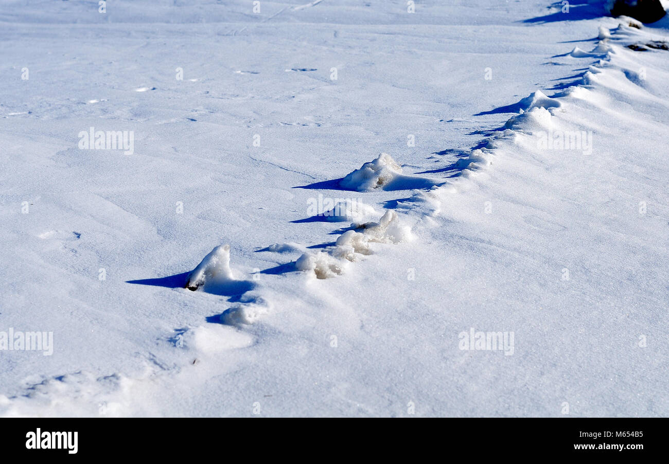 Snow Bank Stock Photos & Snow Bank Stock Images - Alamy